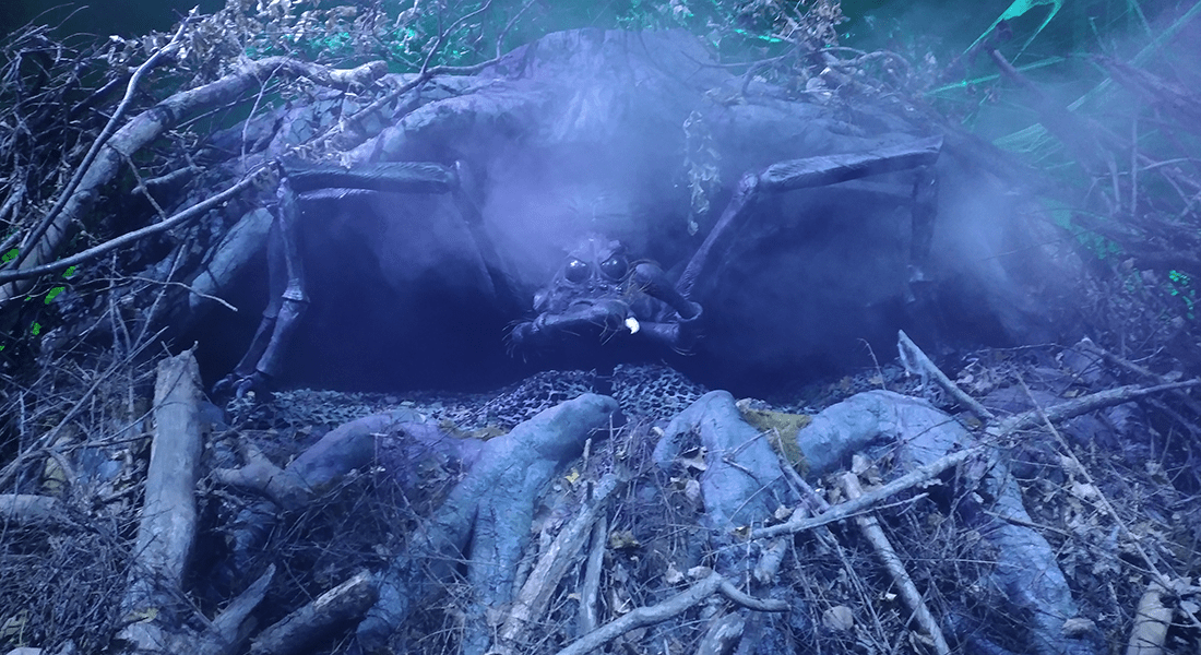 Imagination Runs Wild in Harry Potter: A Forbidden Forest Experience