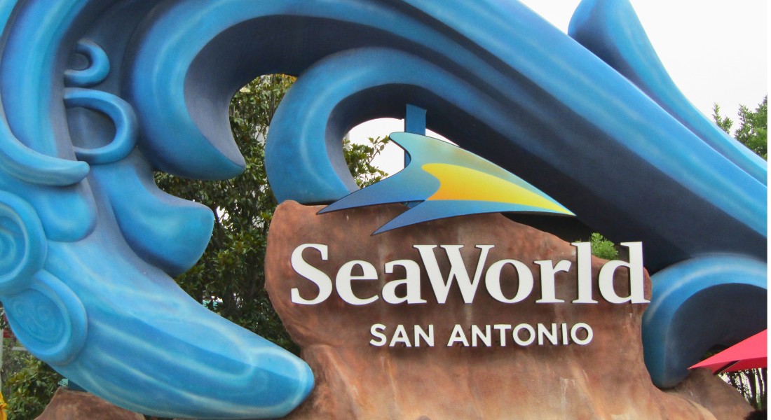 Beyond the Glass: An Inside Look at SeaWorld San Antonio